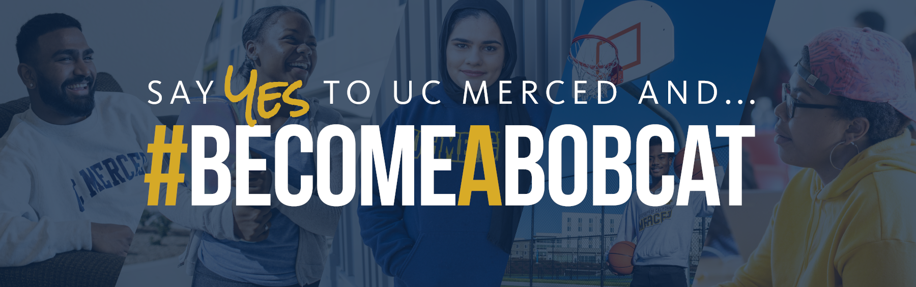 School of Engineering